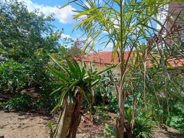 Terreno à Venda 500 m² Excelente Oportunidade no Jardim Virgínia São Paulo