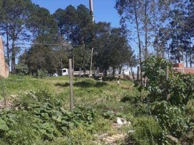 Terreno à venda, 500 m² por R$ 168.000,00 Vila Elsa Viamão/RS