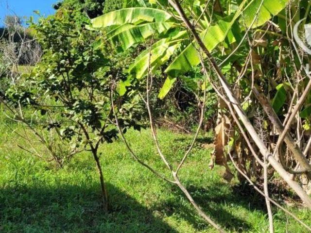 Terreno à venda, 500 m² por R$ 180.000,00 Chácaras Santo Antonio do Jardim Jaguariúna/SP