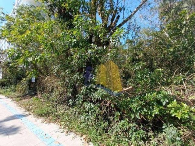 Terreno à venda, 500 m² por R$ 1.500.000,00 Jardim São Lourenço Bertioga/SP