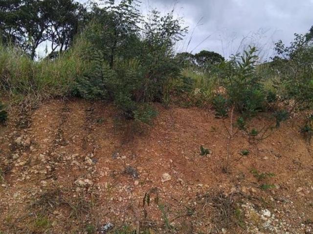Terreno à venda, 500 m² por R$ 210.000,00 Recanto das Árvores Lagoa Santa/MG