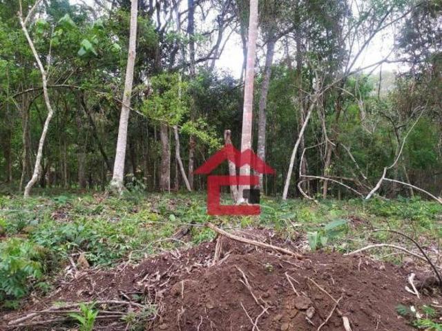 Terreno à venda, 500 m² por R$ 220.000,00 Quinta dos Angicos Cotia/SP