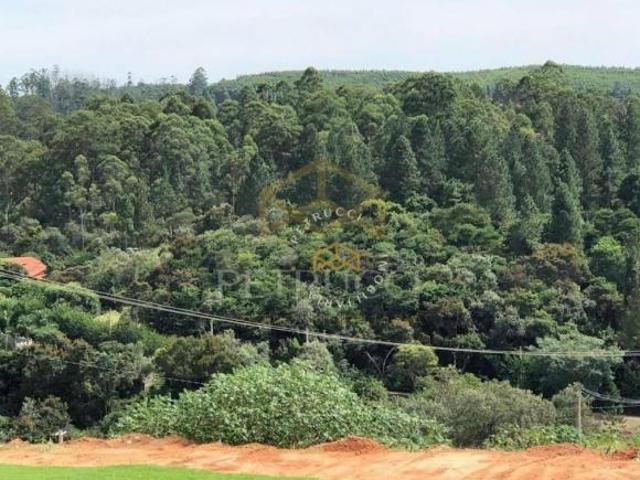 Terreno à venda, 500 m² no Joaquim Egídio Campinas/SP