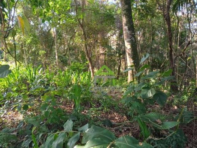Terreno à venda, 500 m² por R$ 290.000,00 Granja Viana II Cotia/SP