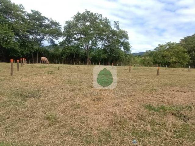 Terreno à venda, 500 m² por R$ 380.000,00 Jardim Santa Terezinha São Bento do Sapucaí/SP