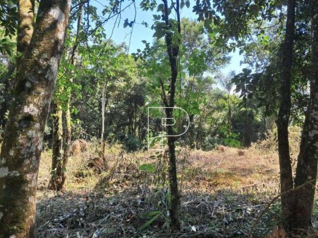 Terreno à venda, 500 m² por R$ 360.000,00 Granja Viana Cotia/SP