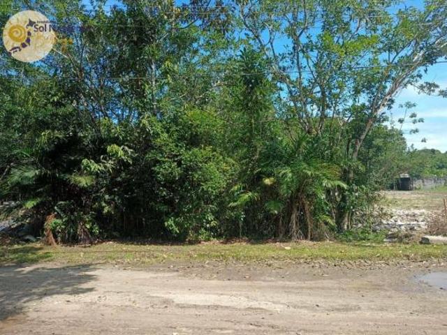 Terreno à venda, 500 m² por R$ 380.000,00 Jardim São Lourenço Bertioga/SP