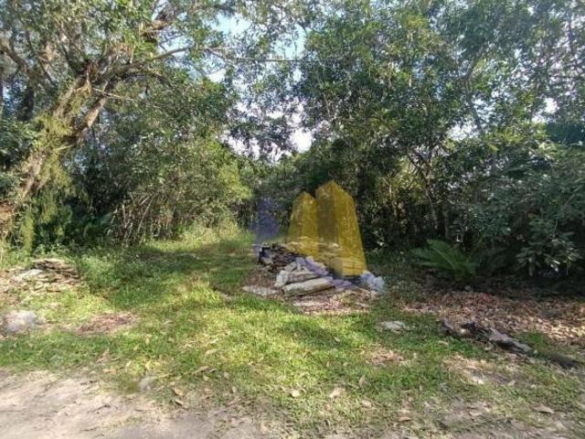 Terreno à venda, 500 m² por R$ 500.000 Jardim São Lourenço Bertioga/SP