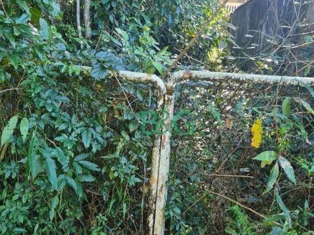 Terreno à venda, 500 m² por R$ 60.000,00 Estância Balneária Garça Vermelha Peruíbe/SP