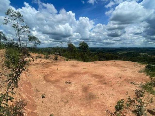 Terreno à venda, 500 m² por R$ 60.000,00 Terra Preta Mairiporã/SP