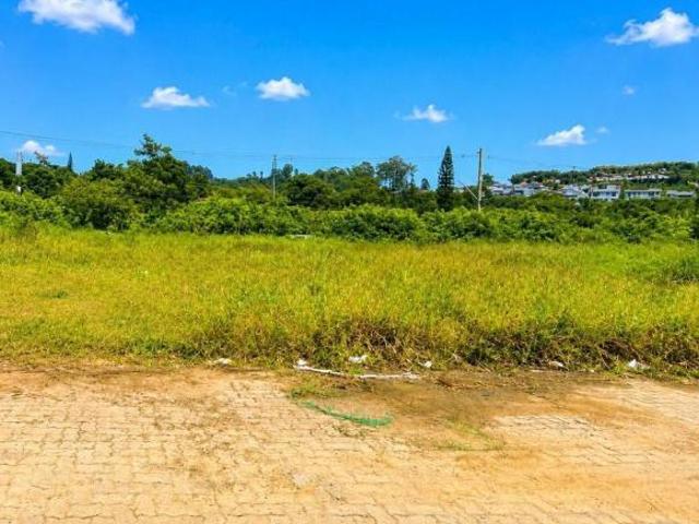 Terreno à venda, 501 m² Centro Empresarial Fernando Nobre Cotia/SP