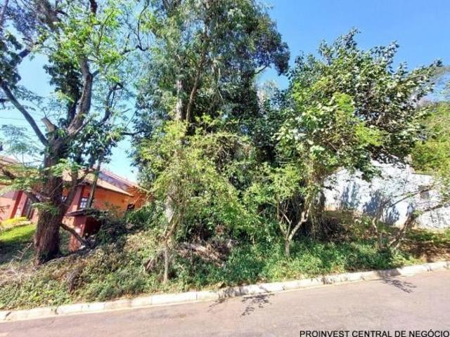 Terreno à venda, 501 m² por R$ 370.000,00 Granja Viana Cotia/SP
