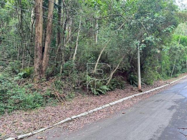Terreno à venda, 501 m² por R$ 500.000,00 Granja Viana Cotia/SP