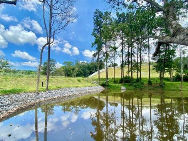 Terreno à venda, 502 m² por R$ 402.064,00 Granja Viana Cotia/SP