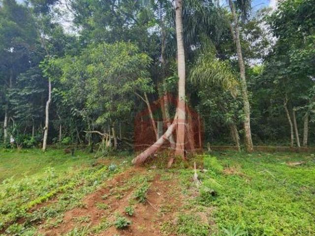 Terreno à venda, 517 m² por R$ 210.000 Reserva Samambaia I Cotia/SP