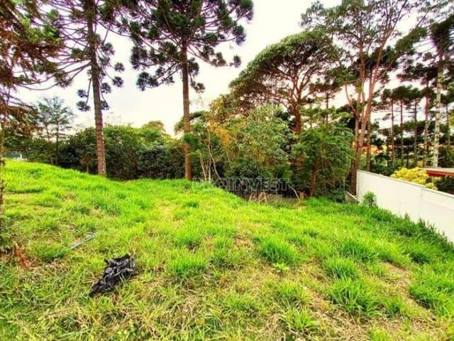 Terreno à venda, 511 m² por R$ 971.000,00 Vintage Cotia/SP