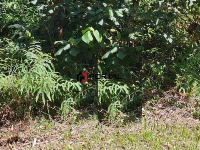 Terreno à venda, 513 m² por R$ 350.000 Granja Viana Cotia/SP