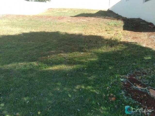 Terreno à venda, 513 m² por R$ 795.000,00 Alphaville Ribeirão Preto/SP