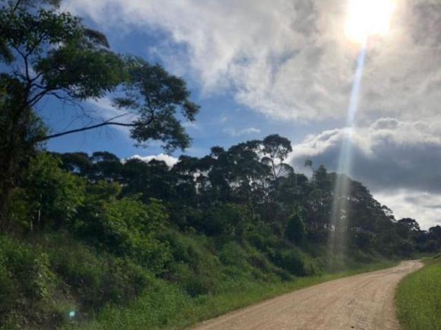 Terreno à venda, 525484m² por R$ 2.390.000 Centro Bocaiúva do Sul/PR
