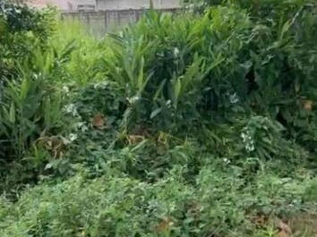 Terreno à venda, 520 m² por R$ 130.000,00 Balneário Gaivota Itanhaém/SP