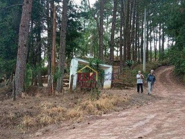 Terreno à venda, 5379 m² por R$ 308.000,00 Angola Santa Branca/SP