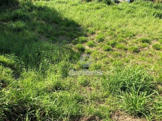 Terreno à venda, 545 m² por R$ 340.000,00 Santa Luzia Ribeirão Pires/SP