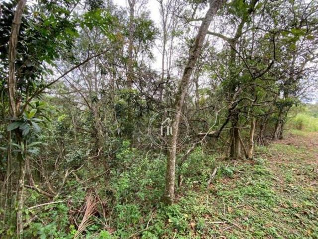 Terreno à venda, 5475 m² por R$ 230.000,00 Chacara Santa Terezinha Araçoiaba da Serra/SP