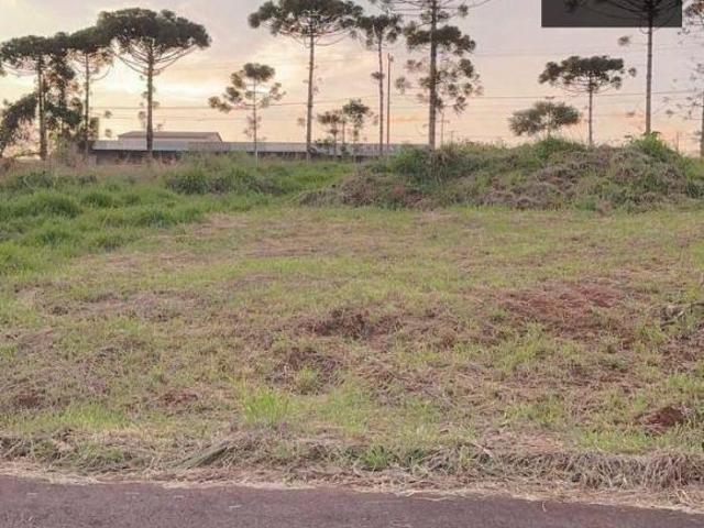 Terreno à venda, 540 m² por R$ 220.000,00 Cidade de Santa Tereza Santa Tereza do Oeste/PR