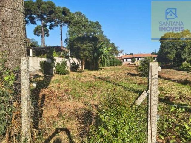 Terreno à venda, 557 m² por R$ 280.000,00 Butiatuva Campo Largo/PR