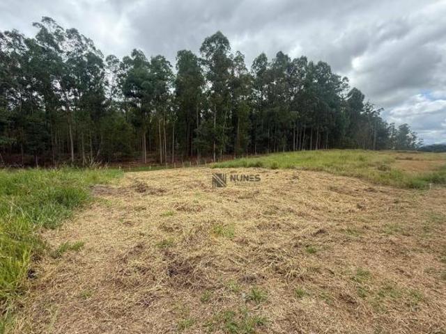 Terreno à venda, 559 m² por R$ 85.000,00 Bicas Bicas/MG
