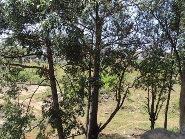 Terreno à venda, 55000 m² por R$ 60.000.000,00 Parque Industrial Cumbica Guarulhos/SP