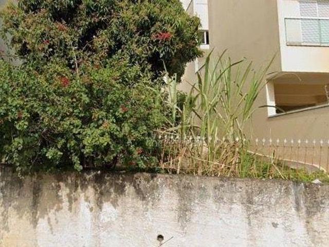 Terreno à venda, 550 m² por R$ 1.000.000,00 Vila Príncipe de Gales Santo André/SP