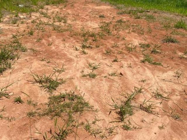Terreno à venda, 550 m² por R$ 250.000 Condomínio Sitio Botoli Bairro Penha Arujá/SP