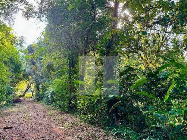Terreno à venda, 564 m² por R$ 564.000,00 Parque Jatibaia Sousas Campinas/SP