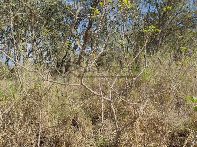 Terreno à venda, 5600 m² por R$ 650.000,00 Chácara Maracajás Salto/SP