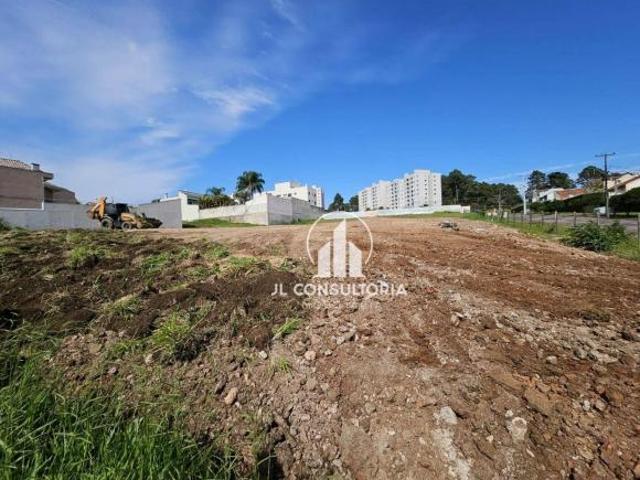 Terreno à venda, 563 m² por R$ 590.000,00 Rio Pequeno São José dos Pinhais/PR