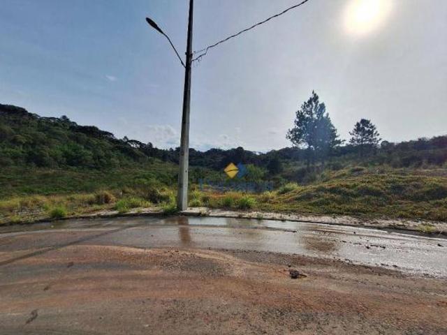 Terreno à venda, 575 m² por R$ 270.000,00 Centro Campina Grande do Sul/PR