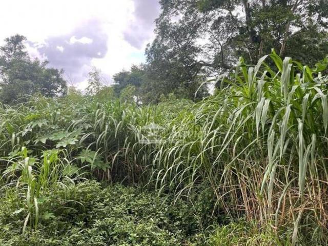 Terreno à venda, 578 m² por R$ 240.000,00 Chácara Portão Vermelho Vargem Grande Paulista/SP