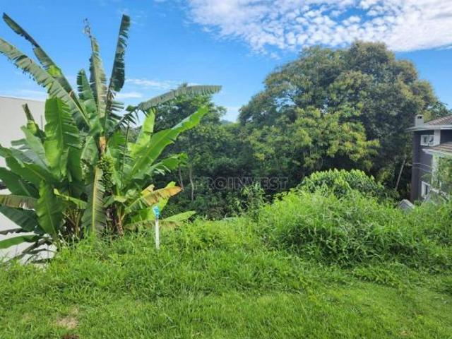 Terreno à venda, 570 m² por R$ 490.000,00 Granja Viana Carapicuíba/SP