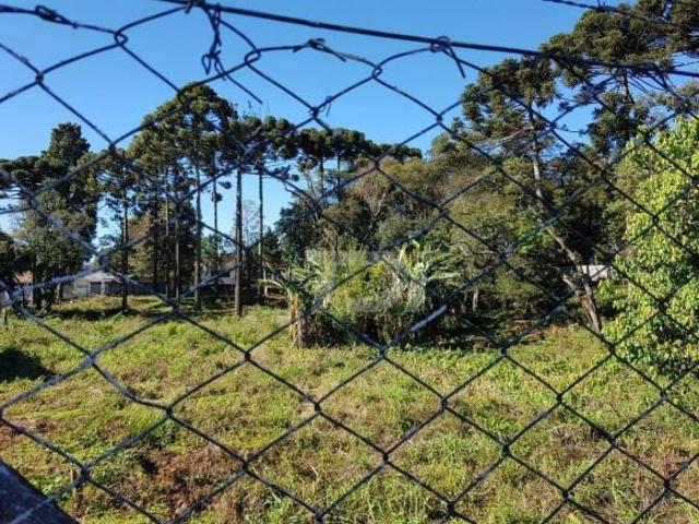 Terreno à venda, 5856 m² por R$ 7.905.000,00 Centro Campo Largo/PR