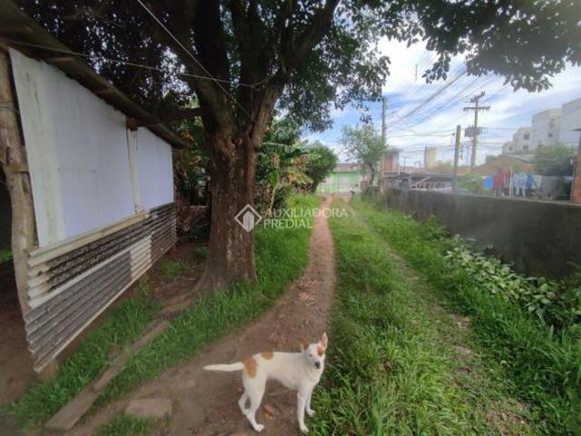 Terreno a venda 580m²