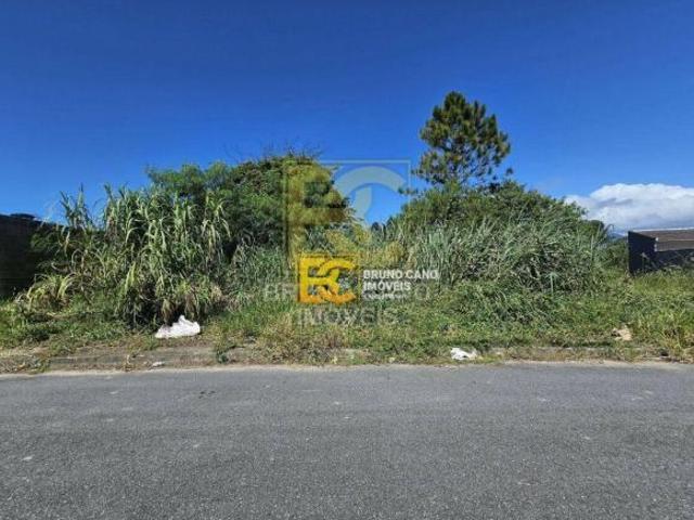 Terreno à venda, 594 m² por R$ 230.000,00 Cidade Nova Peruibe Peruíbe/SP