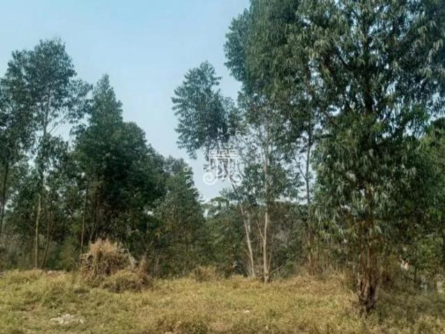 TERRENO À VENDA 5.025M² BAIRRO CERRO AZUL CAMPO LIMPO PAULISTA/SP
