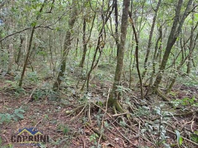 Terreno à venda 5.1 Ha Chácara dos Limas Carmópolis de Minas MG