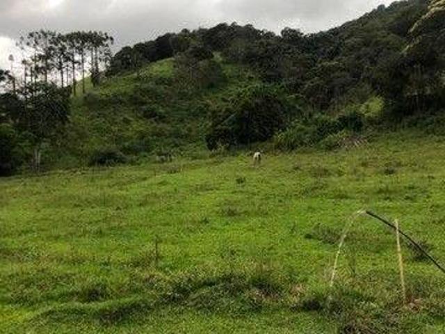 Terreno à venda, 60500 m² por R$ 795.000 Serrano São Bento do Sapucaí/SP