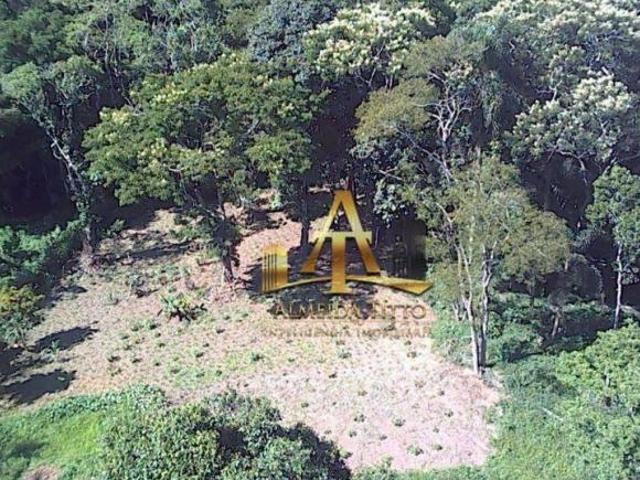Terreno à venda, 6000 m² Parque dos Caetes Cotia/SP