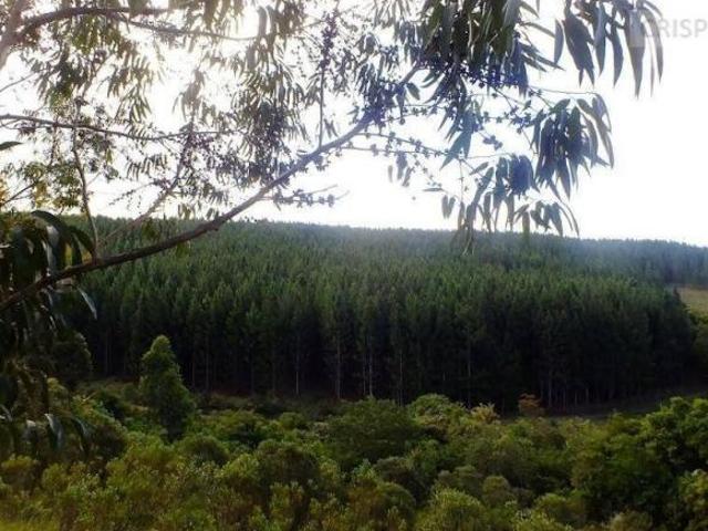 Terreno à venda, 6000 m² por R$ 160.000,00 Bom Jardim De Minas Bom Jardim de Minas/MG