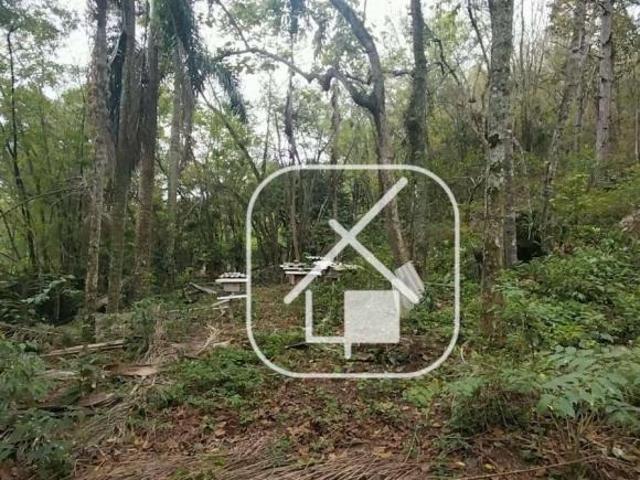 Terreno à venda, 600 m² por R$ 190.000,00 Paião Guararema/SP