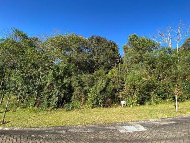 TERRENO À VENDA, 603 M²EM GRAMADO/RS