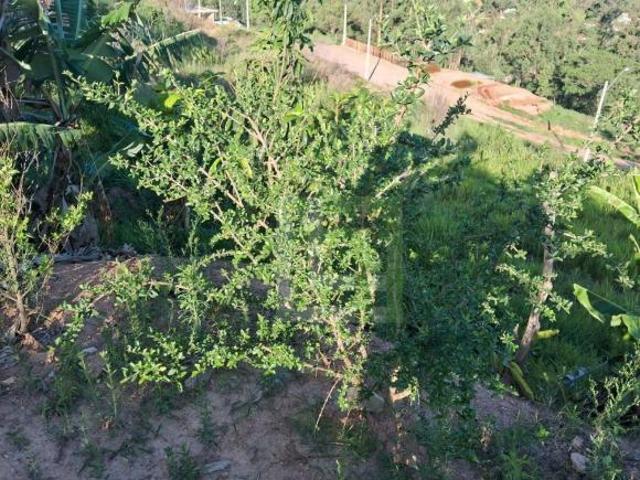 Terreno à venda, 613 m² por R$ 244.000,00 Santa Fé Jundiaí/SP